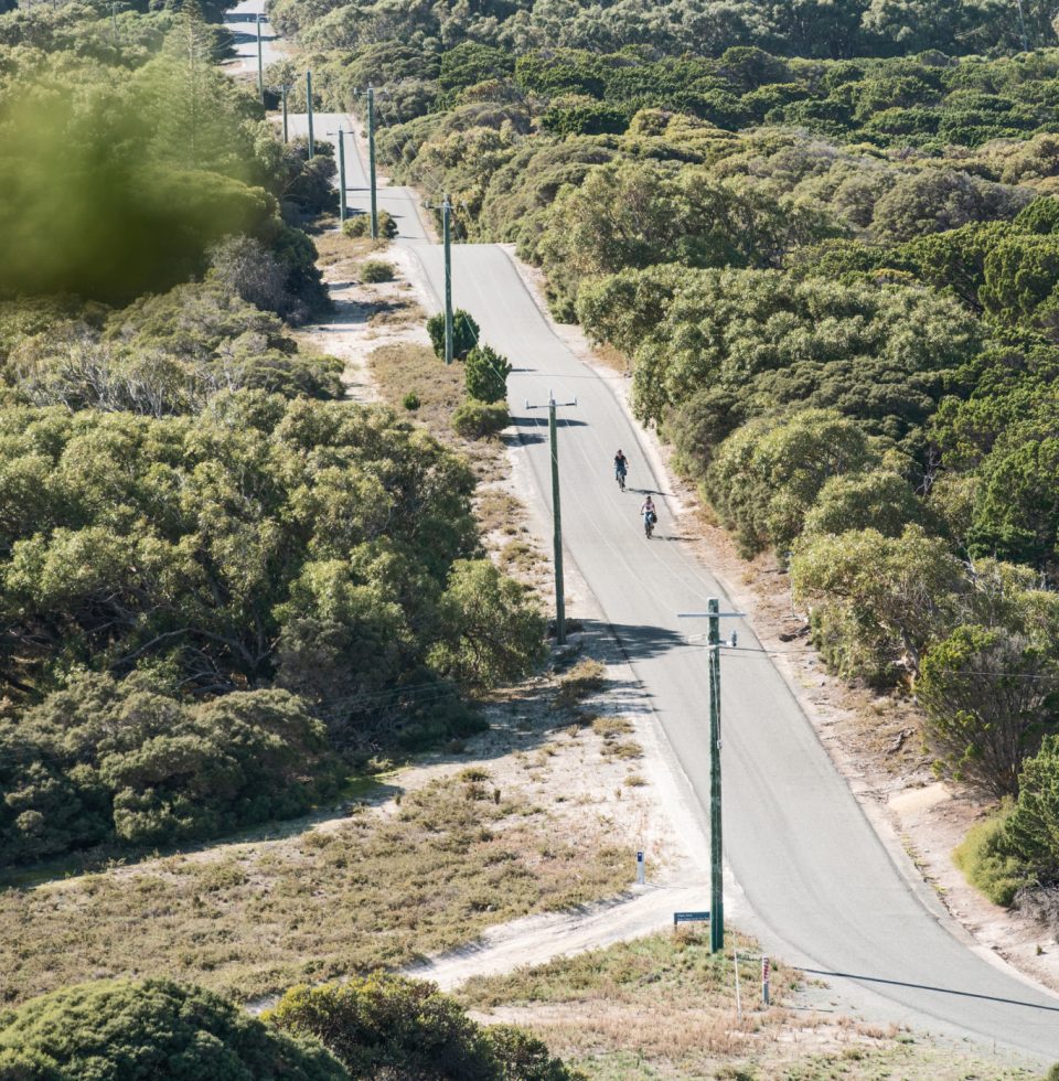 Discover Samphire - Samphire Rottnest