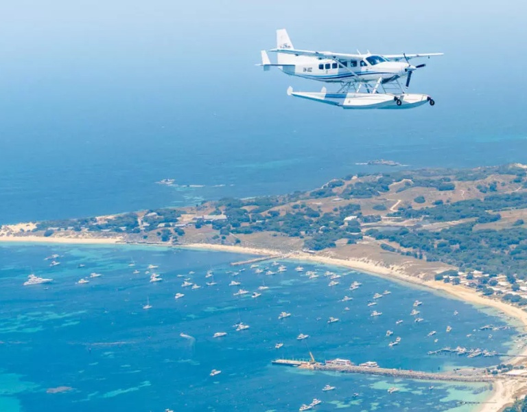Discover Samphire - Samphire Rottnest