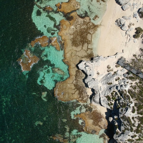 Discovering Rottnest Island's Best Beaches - The Ultimate Guide