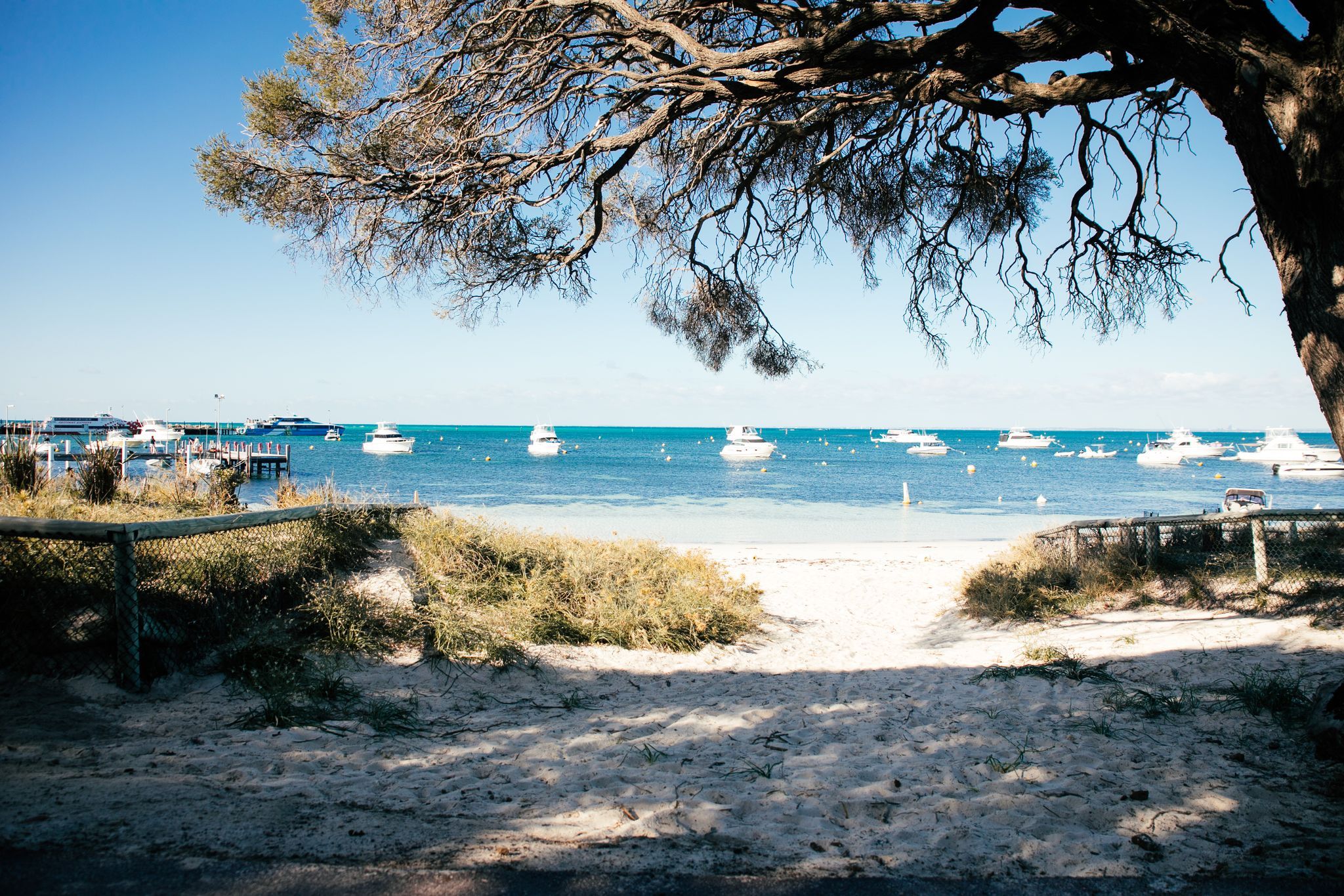Thomson Bay | Samphire Rottnest